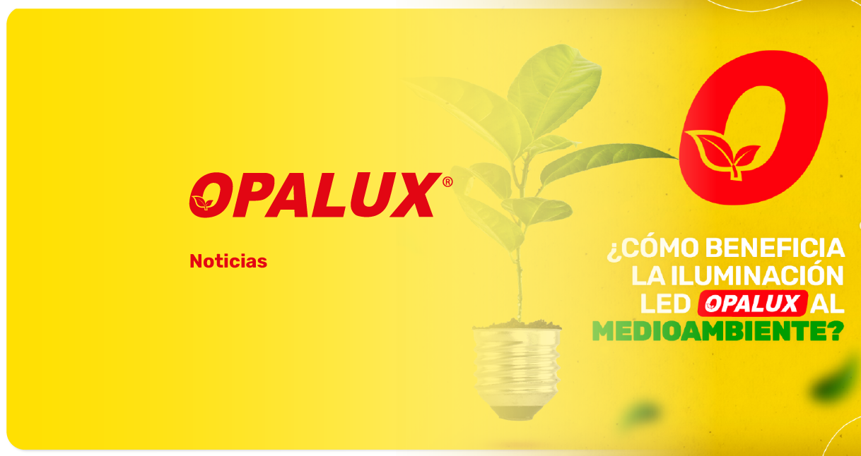 Noticias | Opalux | Información de artículos de iluminación